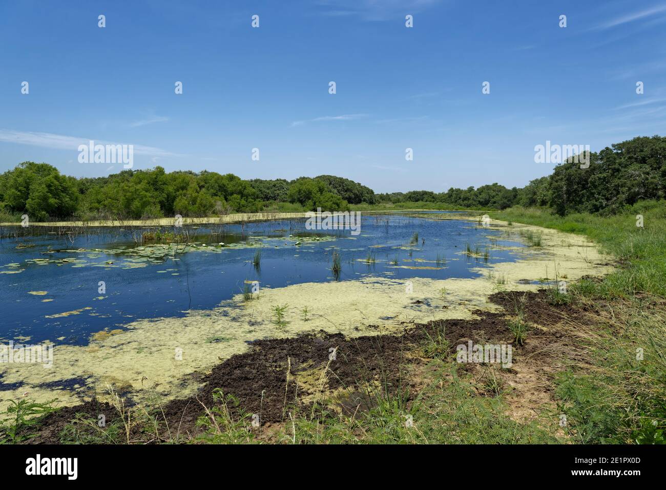 A long lake in the wetlands of the Aransas national Wildlife Refuge ...