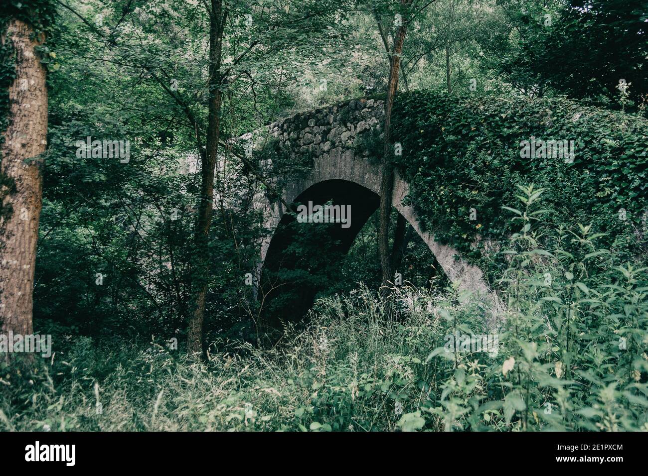 very old overgrown bridge in sadernes Stock Photo - Alamy