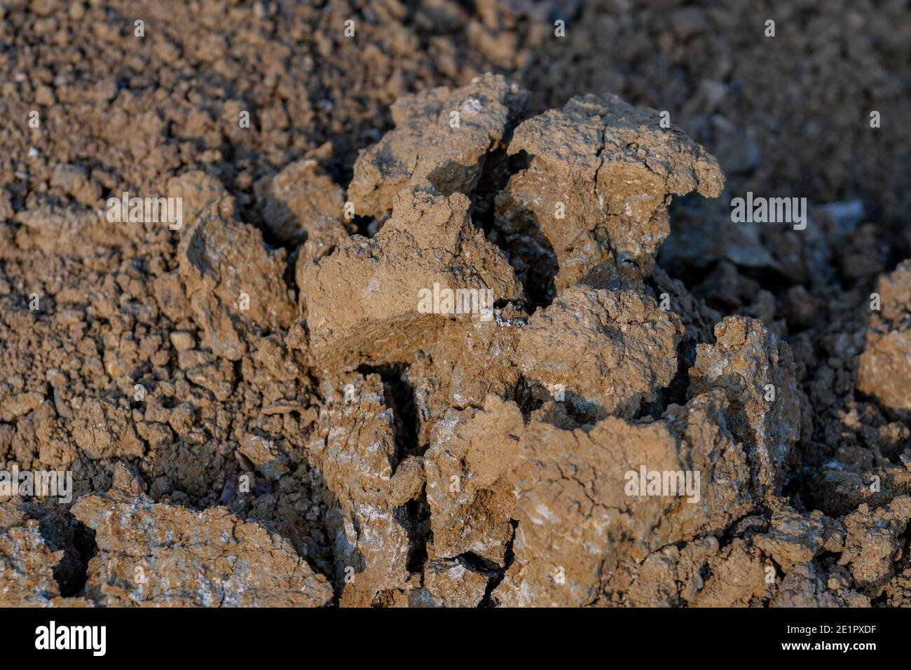Close up soil texture background, Organic gardening, agriculture Stock ...