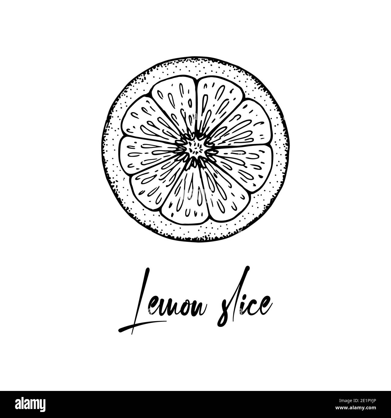 Lemon Slice Sketch
