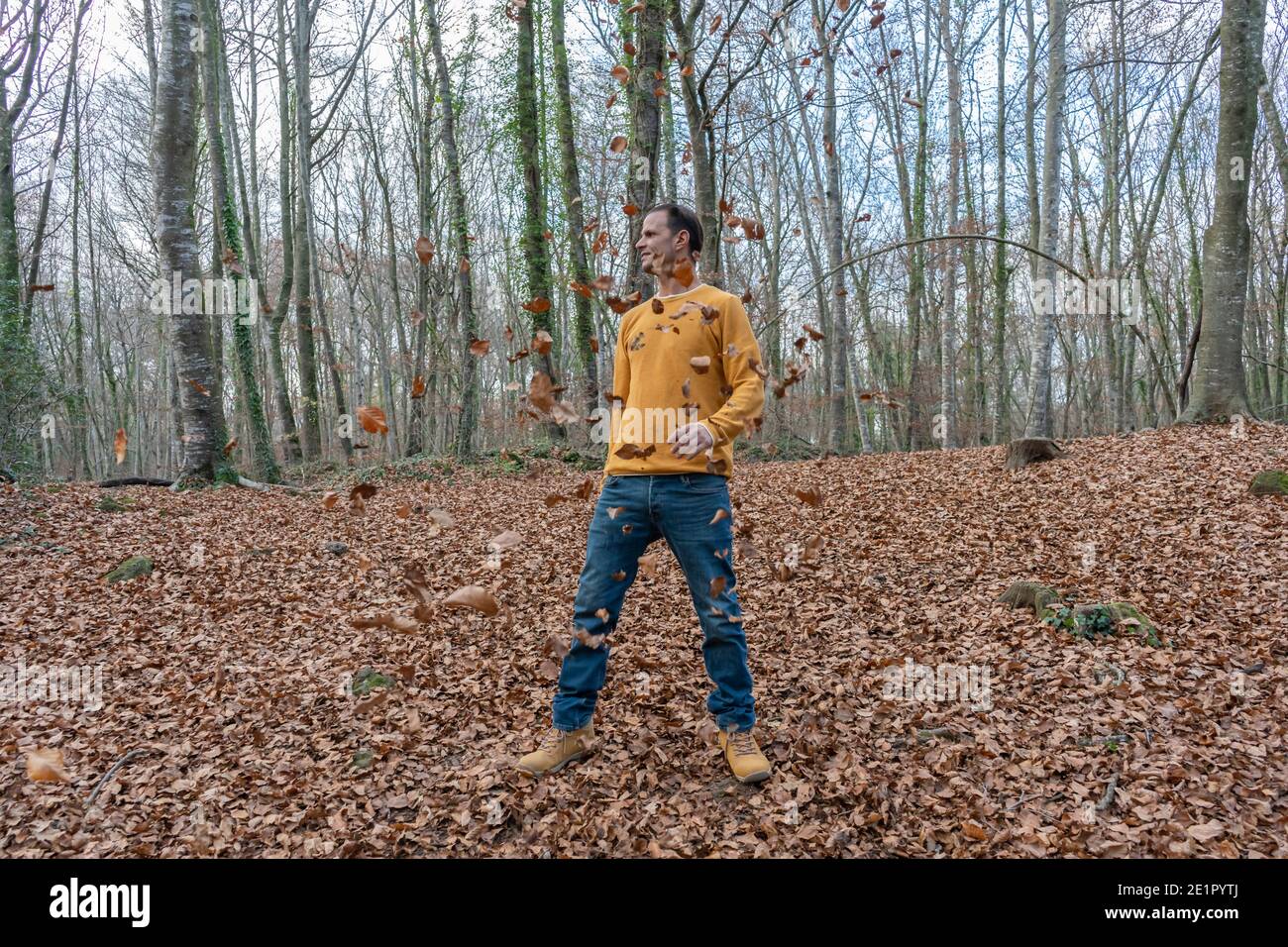 Happy stylish man with autumn leaves falling enjoy in beautiful forest ...