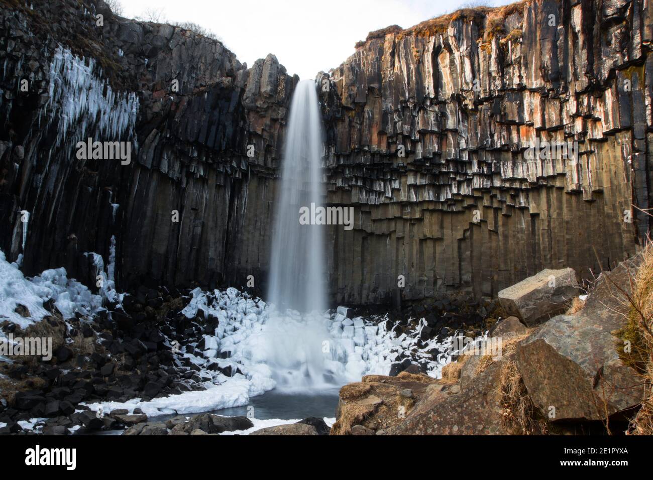 Svartifoss black waterfall winter snow ice with lava basalt columns in ...