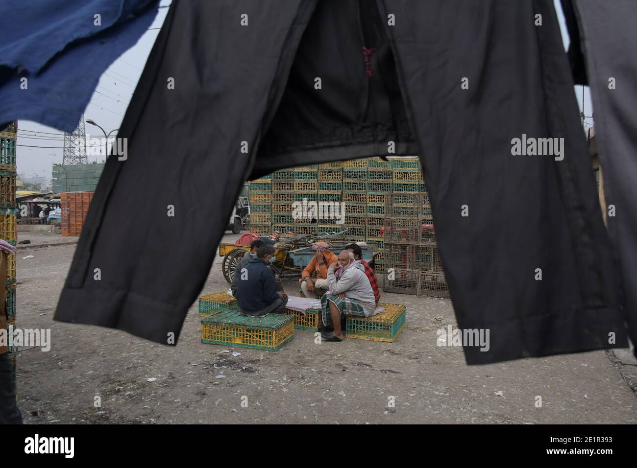 Murga india hi-res stock photography and images - Alamy