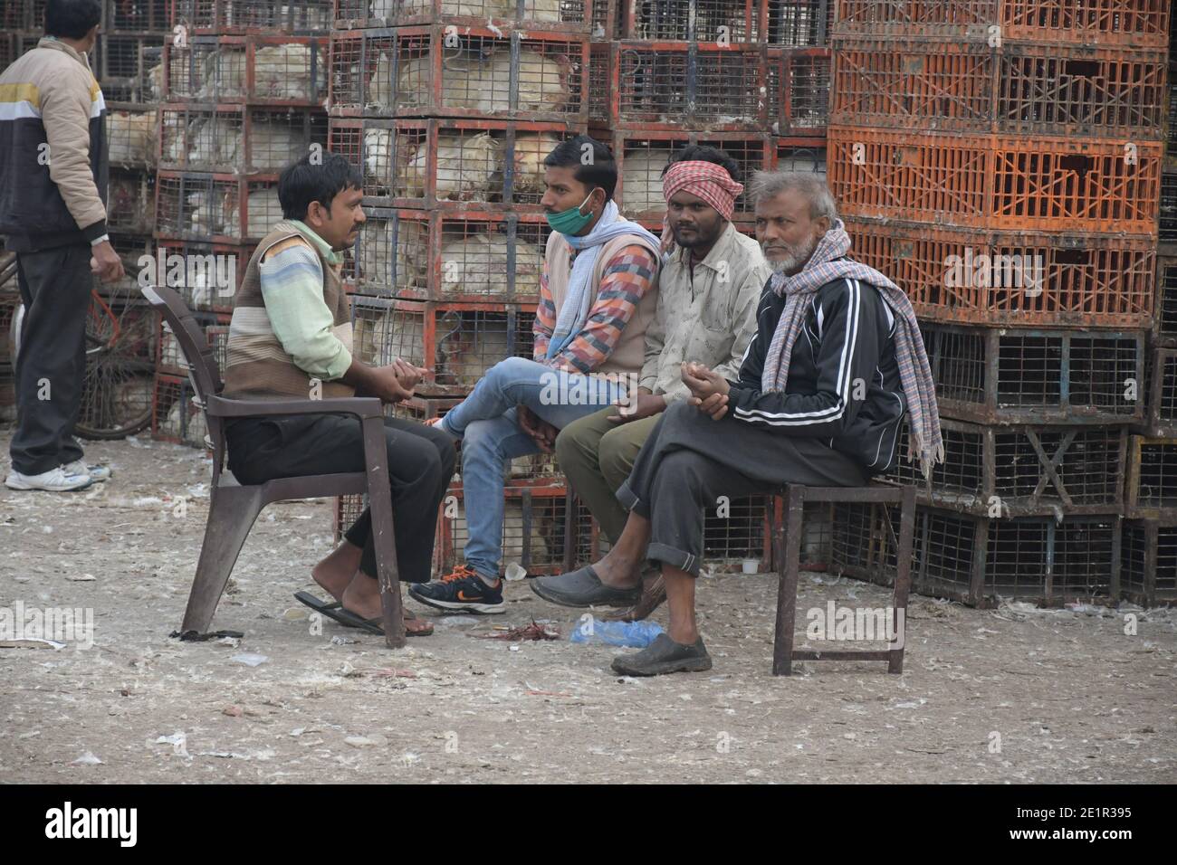 Murga india hi-res stock photography and images - Alamy