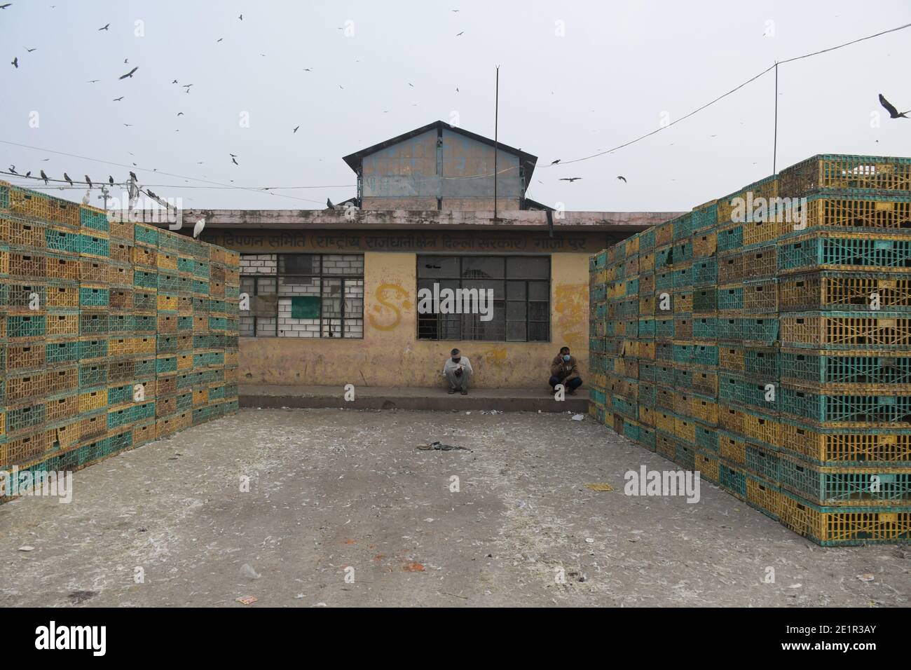 Murga india hi-res stock photography and images - Alamy