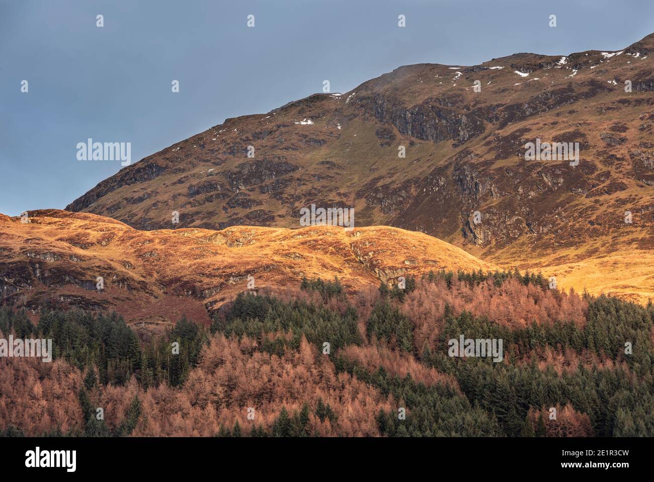 Ben lui hi-res stock photography and images - Alamy