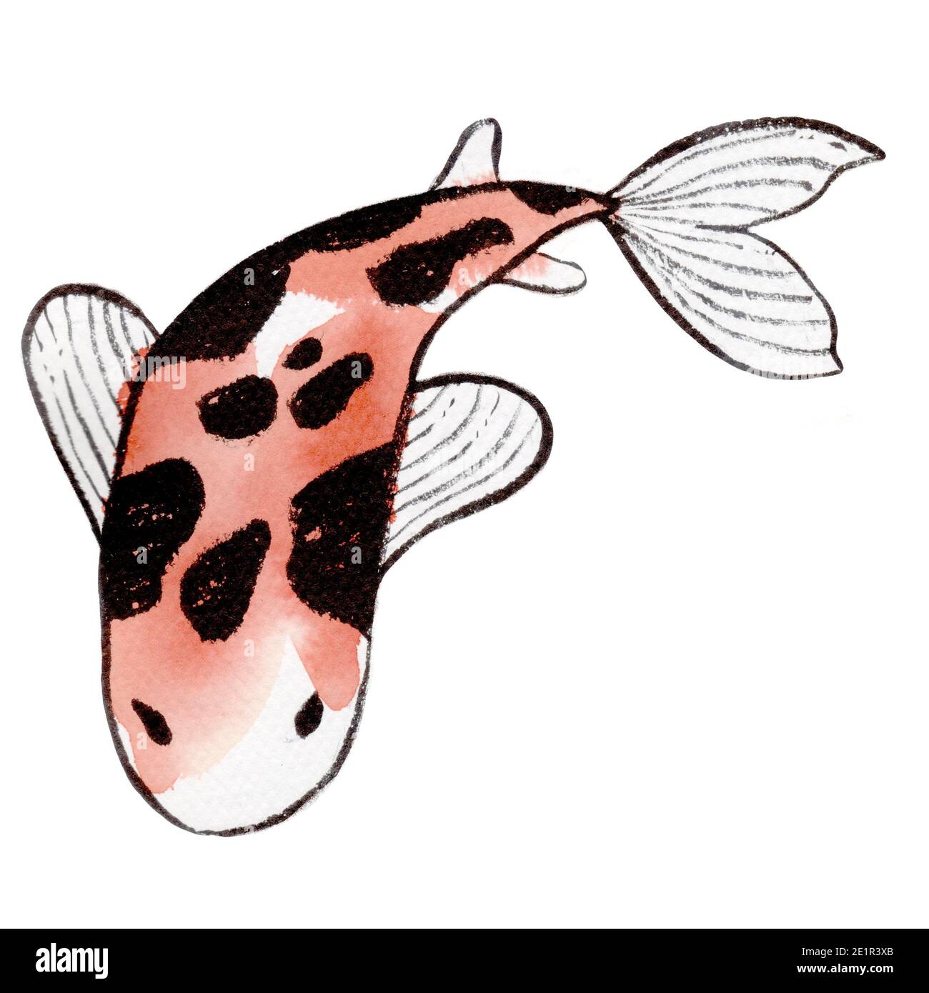 Amur carp japanese Cut Out Stock Images & Pictures - Alamy