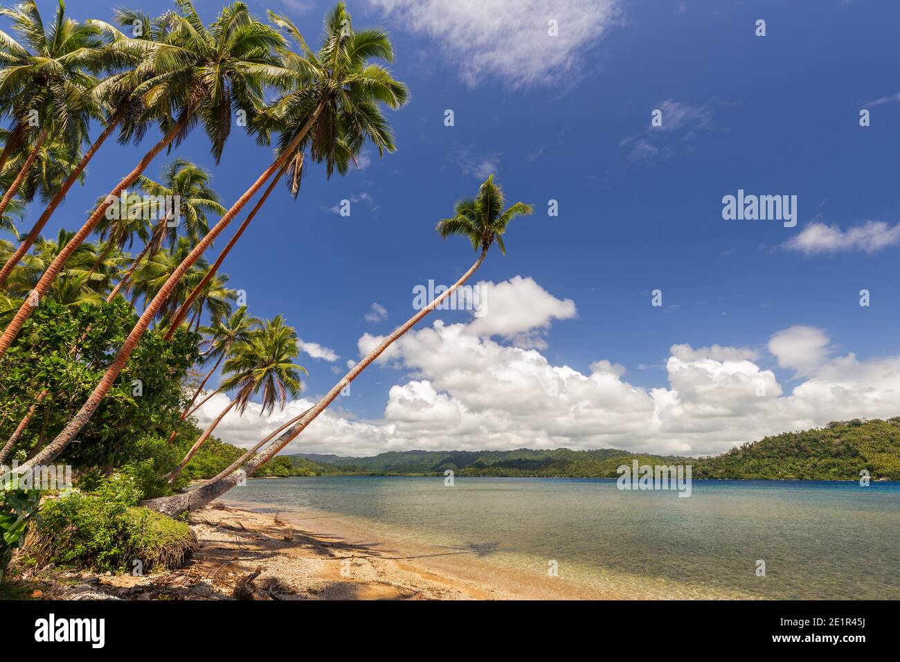 Malekula hi-res stock photography and images - Alamy
