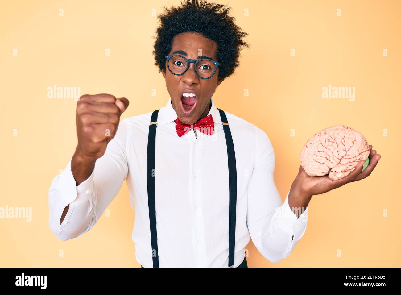 Handsome african american nerd man with afro hair holding brain annoyed ...