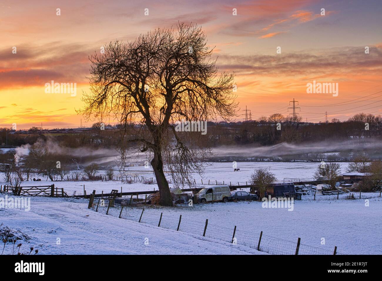 Winter Scene of a Tree and Allotments with snow in County Durham ...