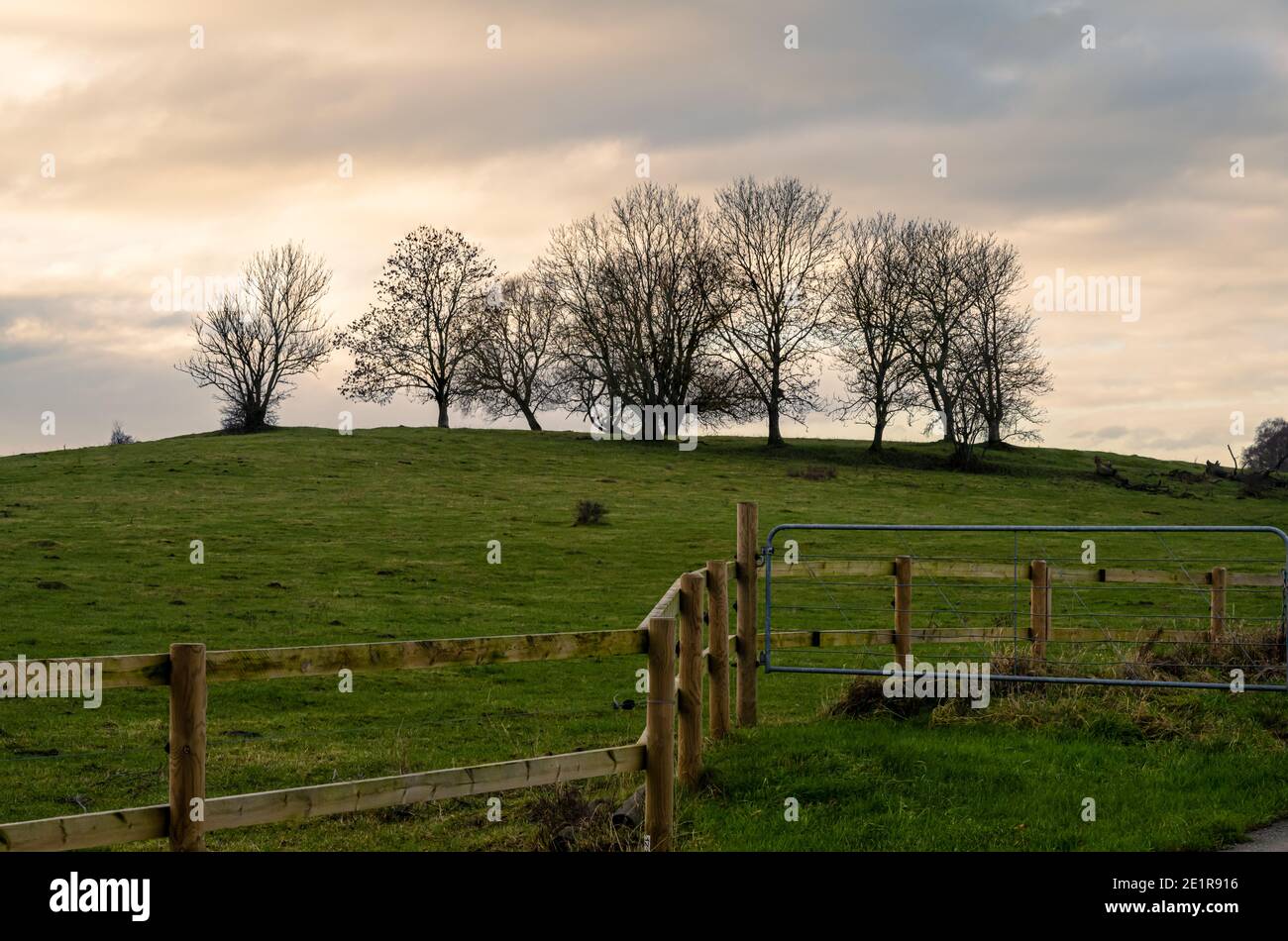 Trees on a meadow with an amazing sunset sky in the background. Picture ...