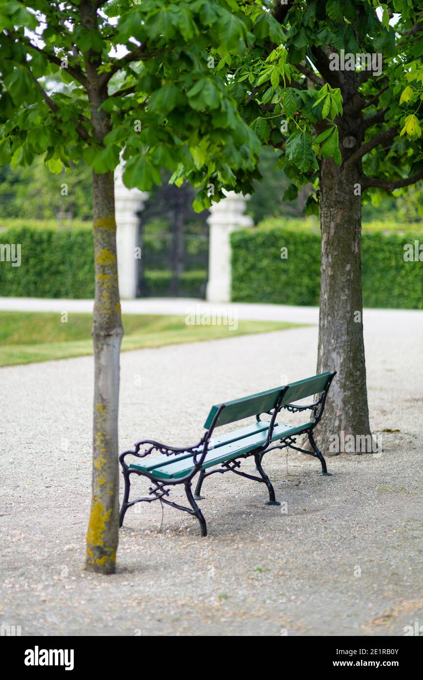A bench in the Belvedere Palace park of Vienna, Austria in green ...