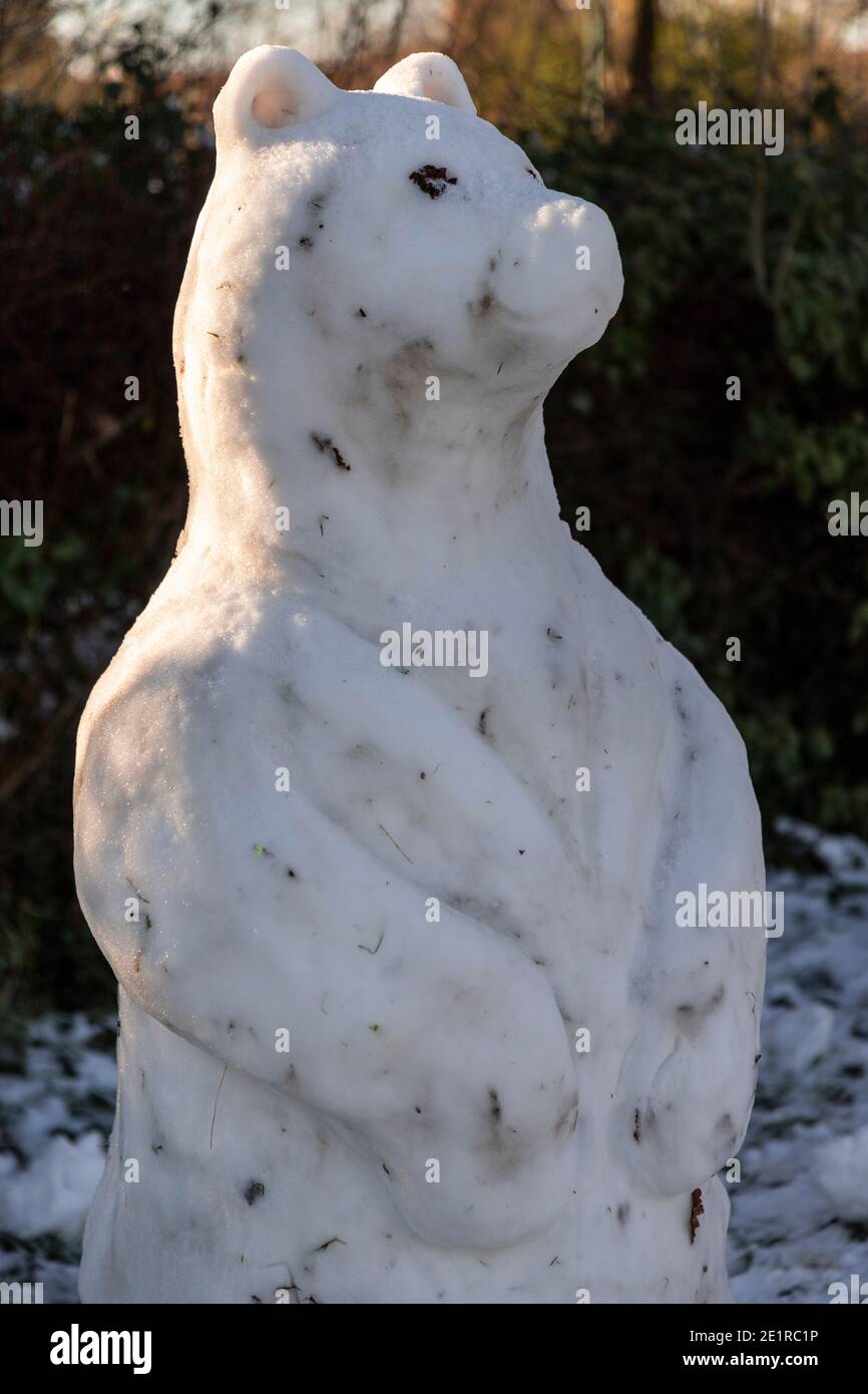 Snowbear snow sculpture in Buckley, North Wales Stock Photo - Alamy