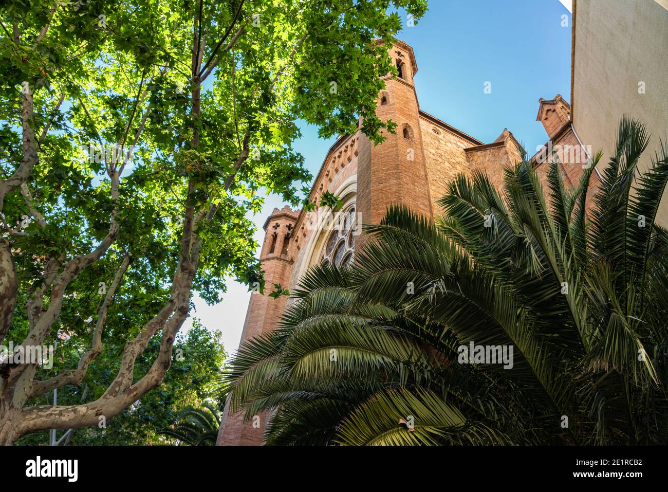 Palm Trees In Barcelona City, Spain Stock Photo - Alamy