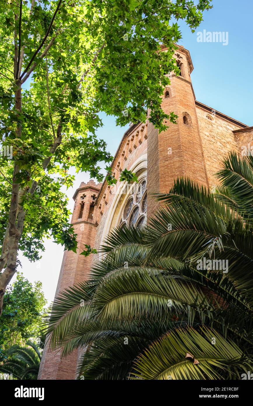 Palm Trees In Barcelona City, Spain Stock Photo - Alamy