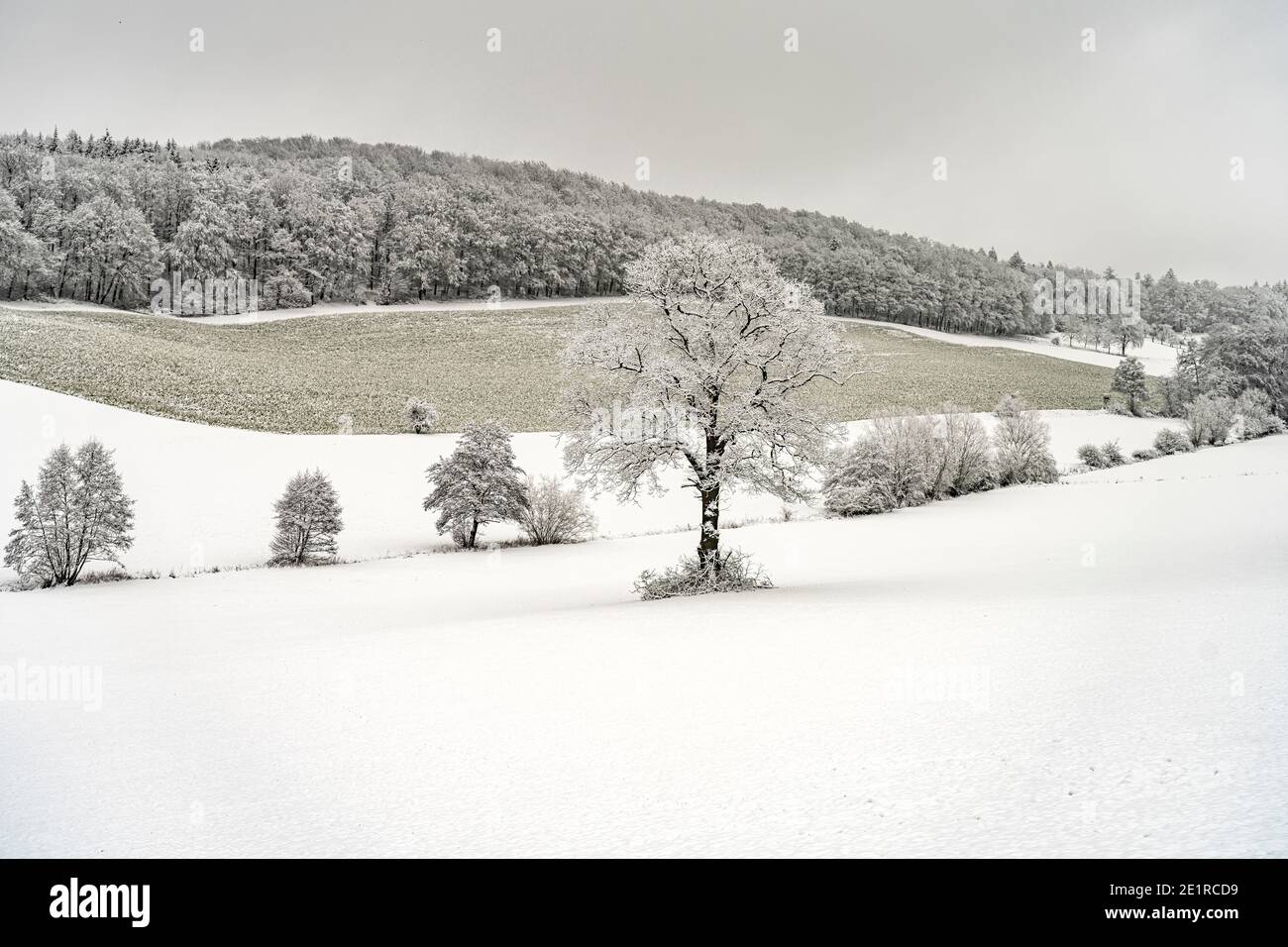Hochsauerland hi-res stock photography and images - Alamy