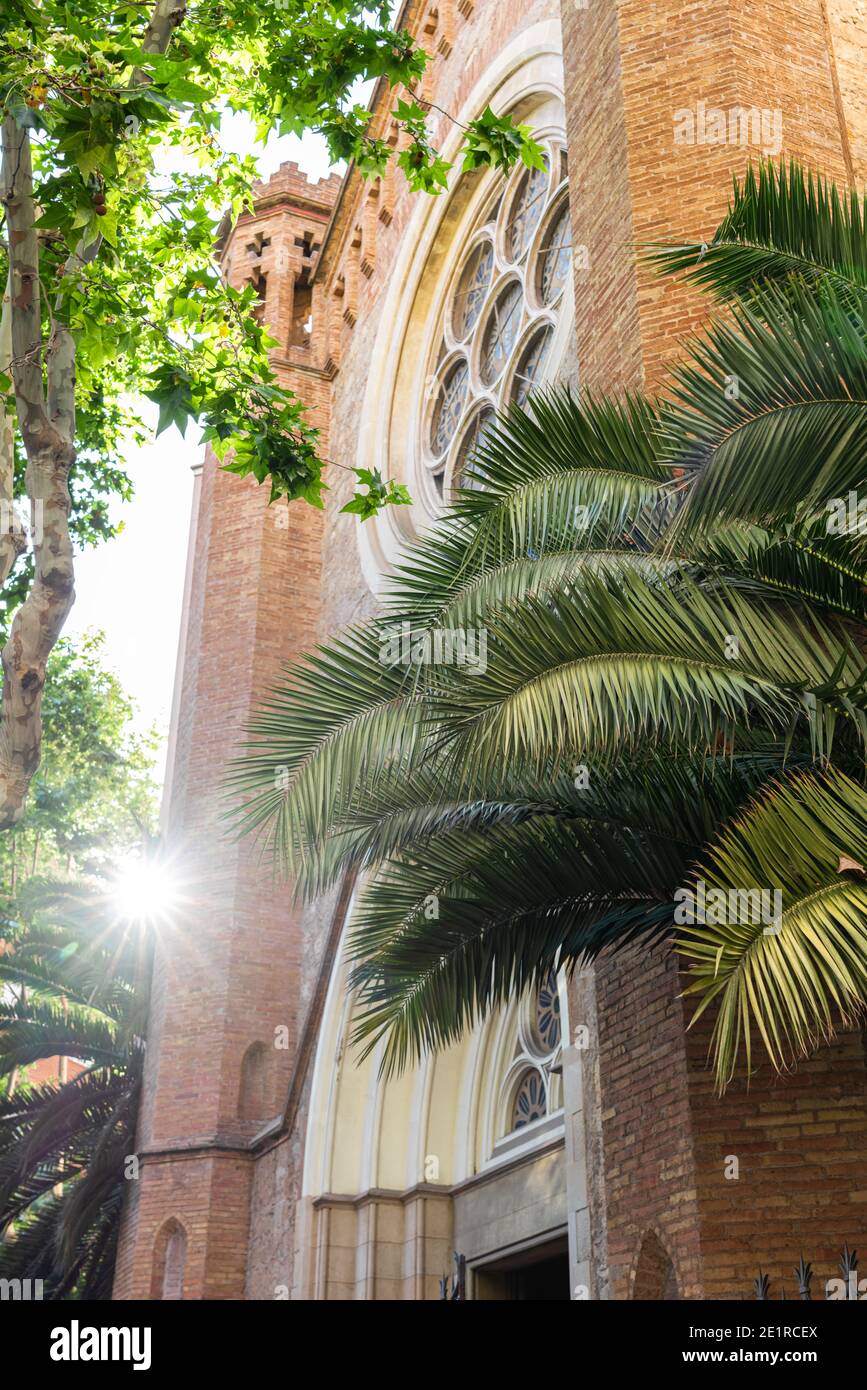 Palm Trees In Barcelona City, Spain Stock Photo - Alamy