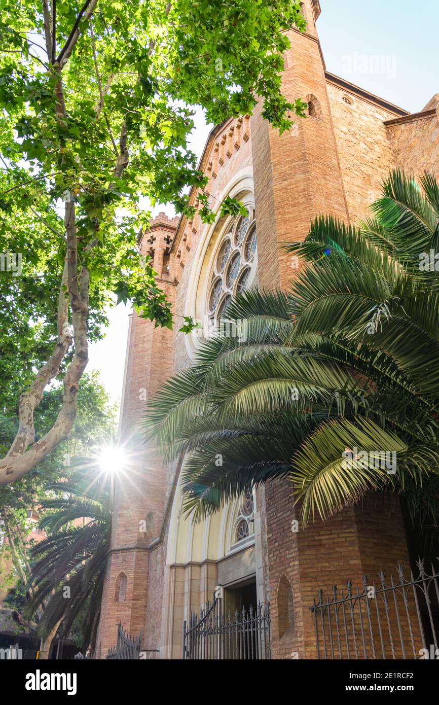 Palm Trees In Barcelona City, Spain Stock Photo - Alamy