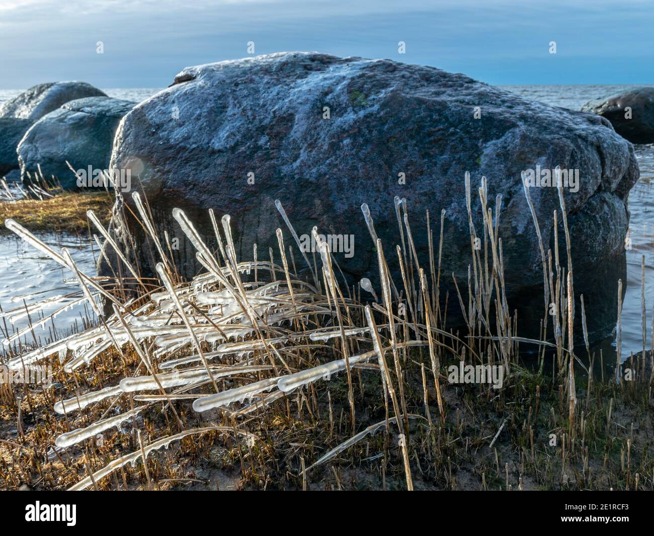 sea and wind made abstract formations of frozen dry reeds, icy rocks on ...