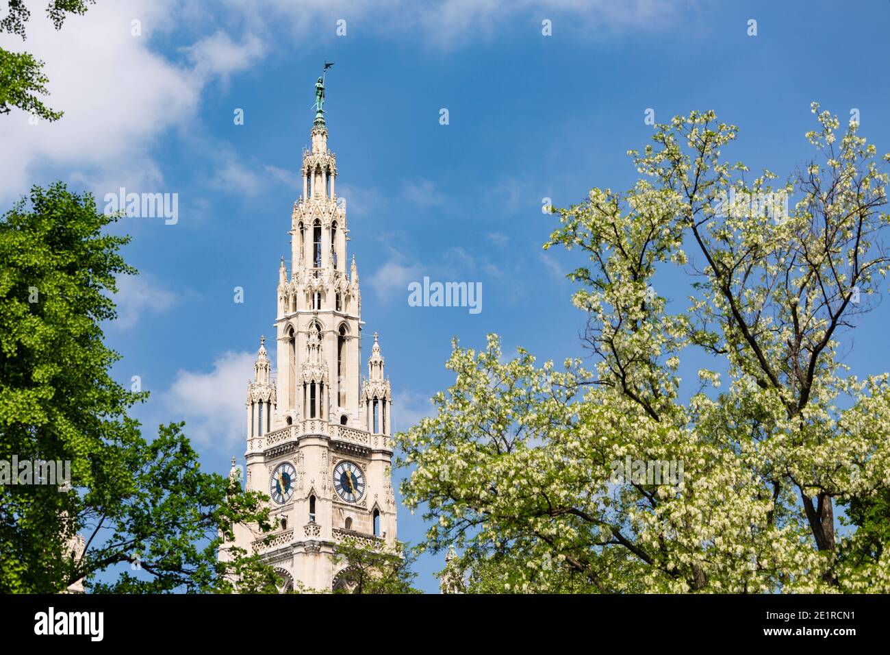 The tower of the Vienna City Hall behind some trees with blue sky ...