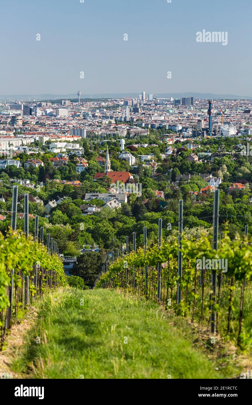 View over vienna hi-res stock photography and images - Alamy
