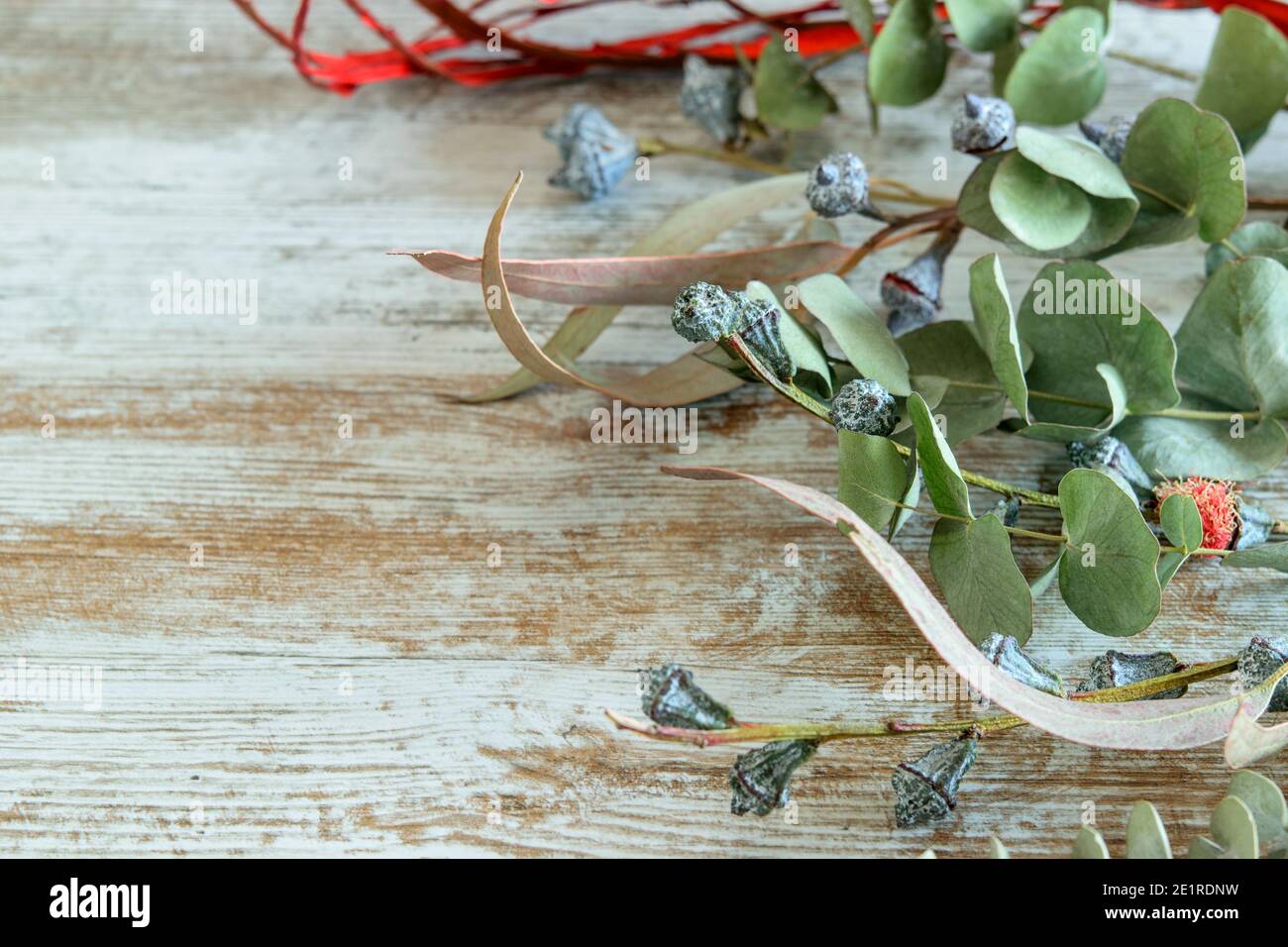 Different branches of aromatic eucalyptus on the rustic natural wooden ...