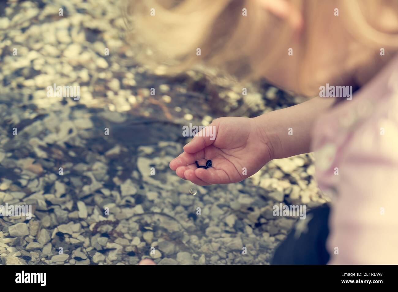 Side view of young girl catching and observing tadpoles in a lake Stock ...