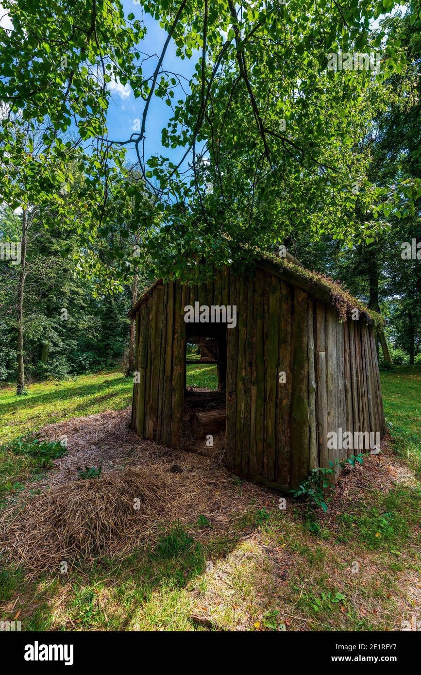 old wooden hut in the forest Stock Photo - Alamy