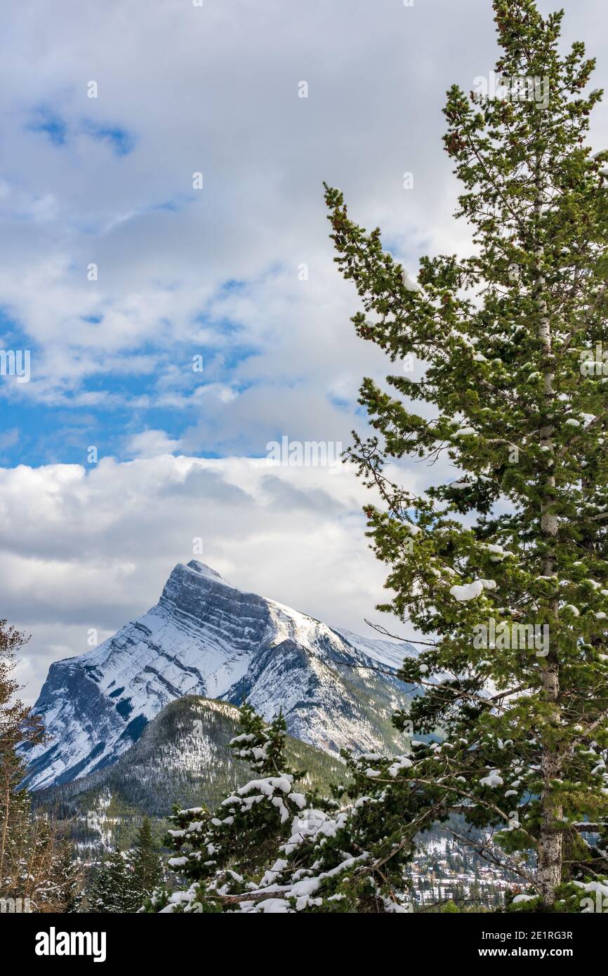 Snow-covered Mount Rundle with snowy forest. Banff National Park ...