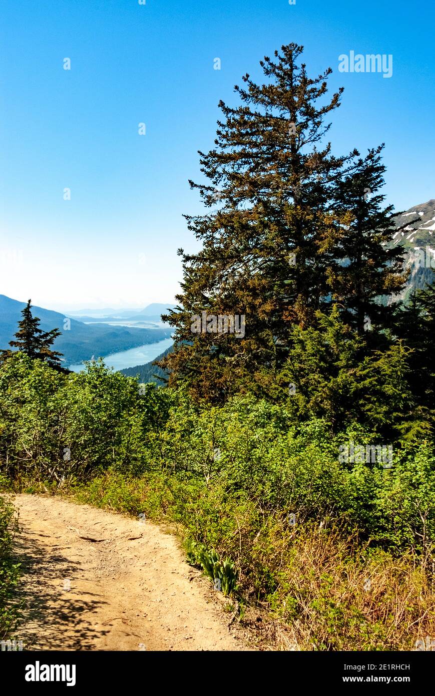 Pathway on the surrounding mountains in Juneau, Alaska - USA Stock ...