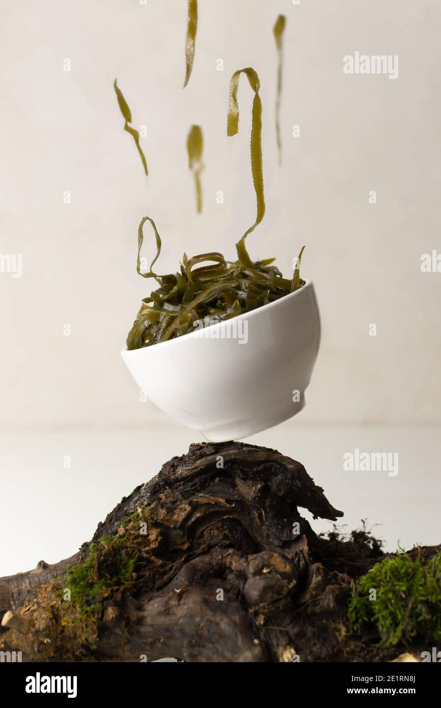 Edible seaweed in a white bowl on a stump with moss. Flying food ...