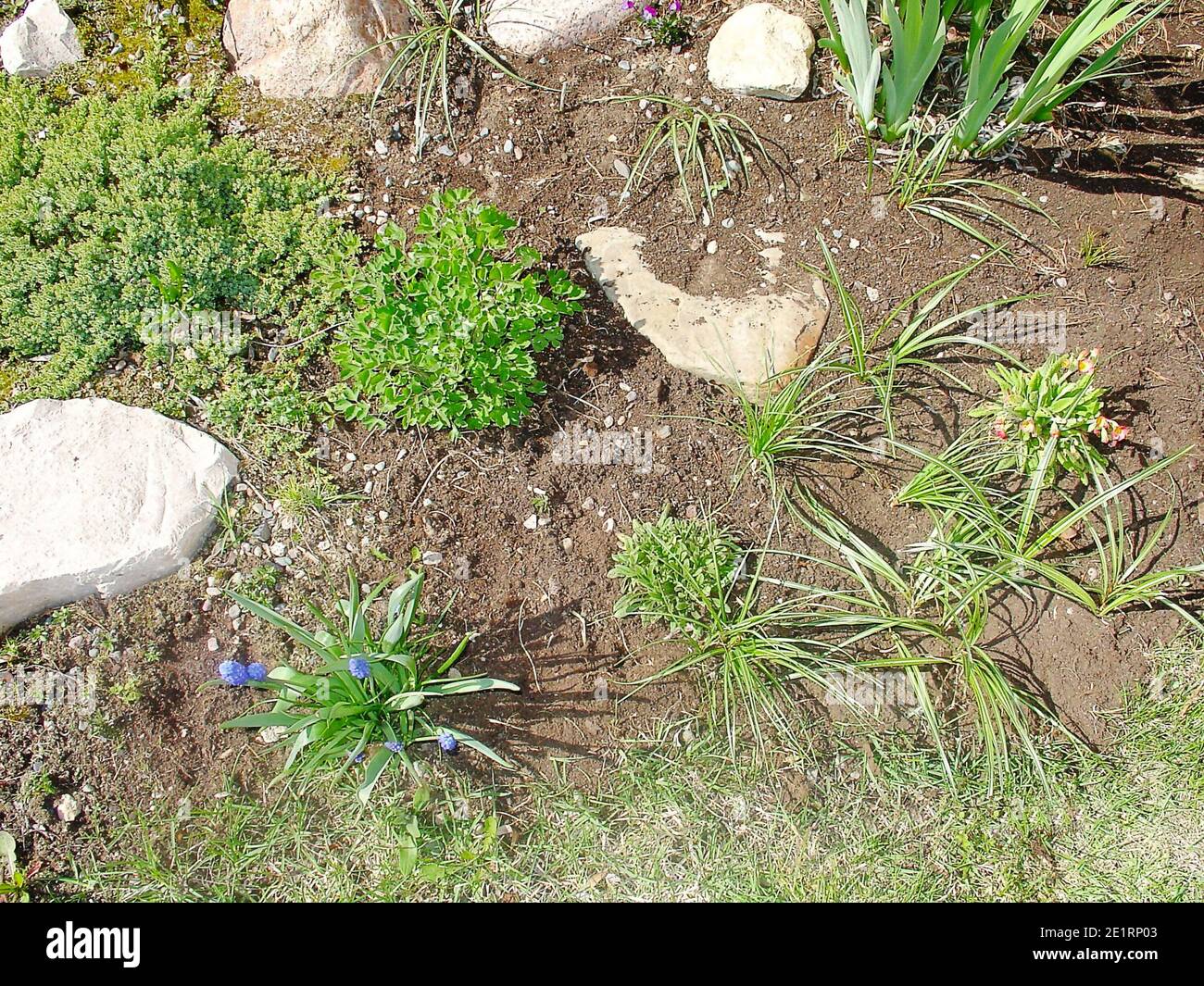 Alpine slide hi-res stock photography and images - Alamy