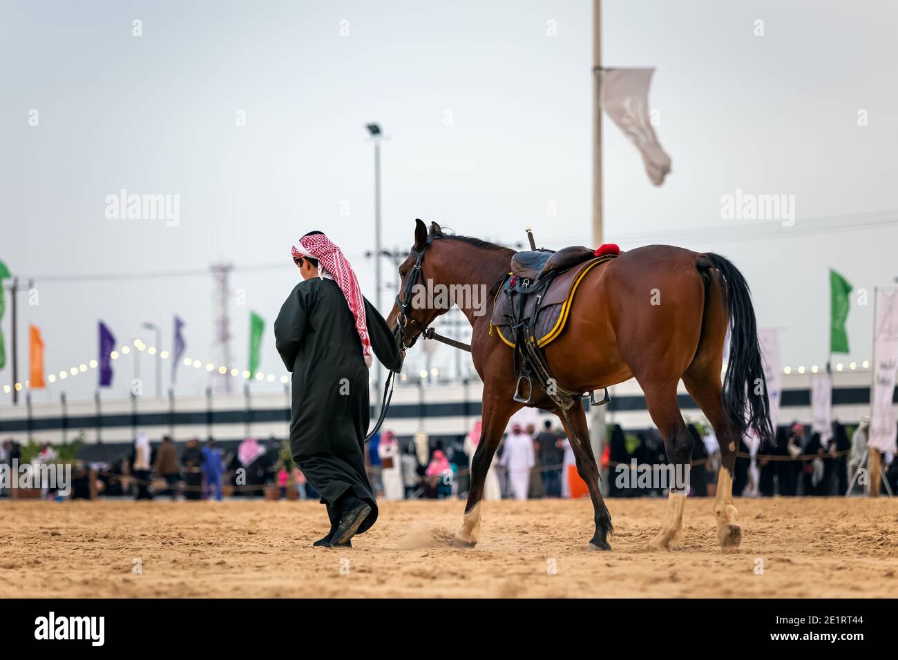 Saudi Arab Horse rider on traditional desert safari festival in abqaiq ...
