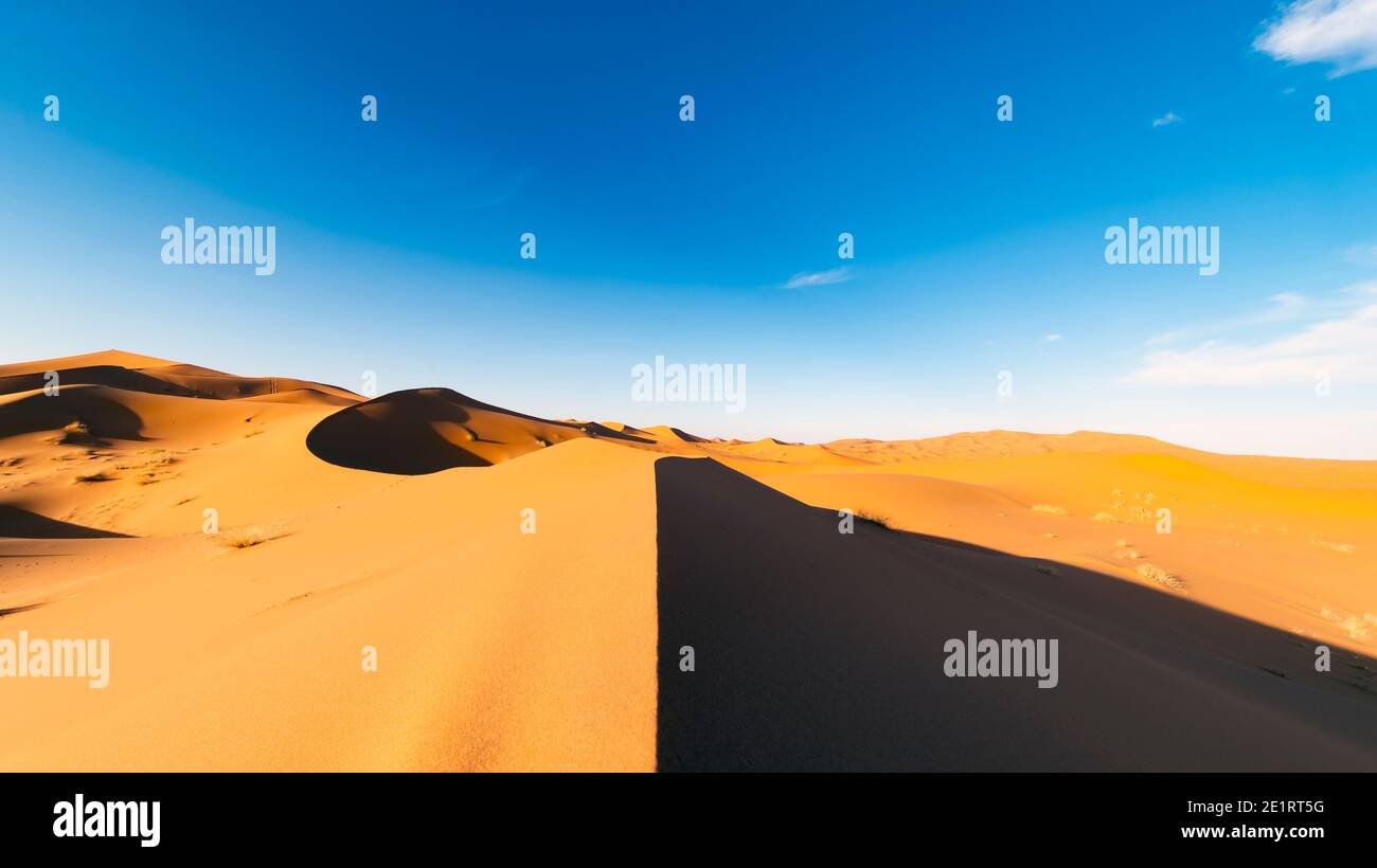 (Selective focus) Stunning view of some sand dunes illuminated at ...