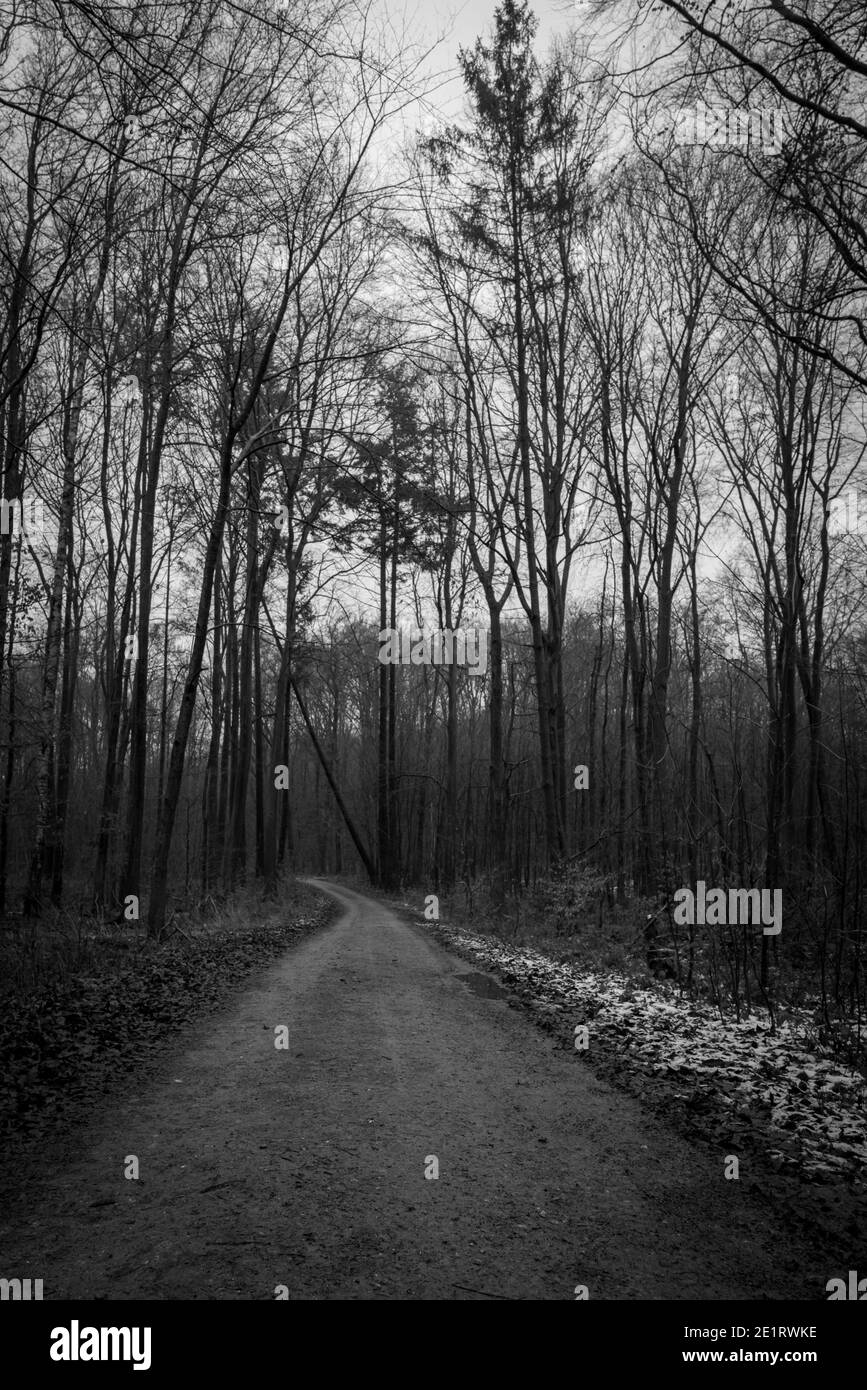 Path through the wilderness Black and White Stock Photos & Images - Alamy