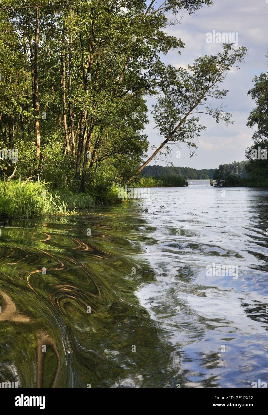 Rospuda river near Augustow. Poland Stock Photo - Alamy