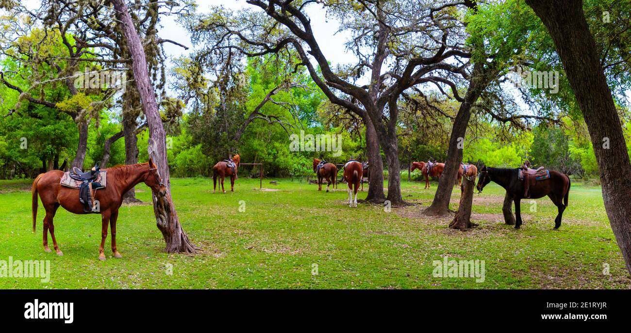 Mayan Dude Ranch - Bandera, Texas Stock Photo - Alamy