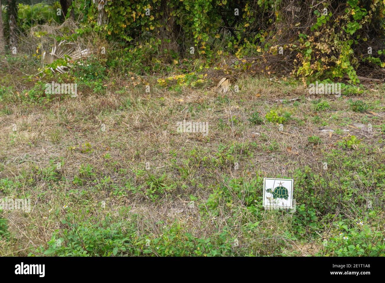 Turtle breeding area along gulf coast of Florida with yard sign Stock ...
