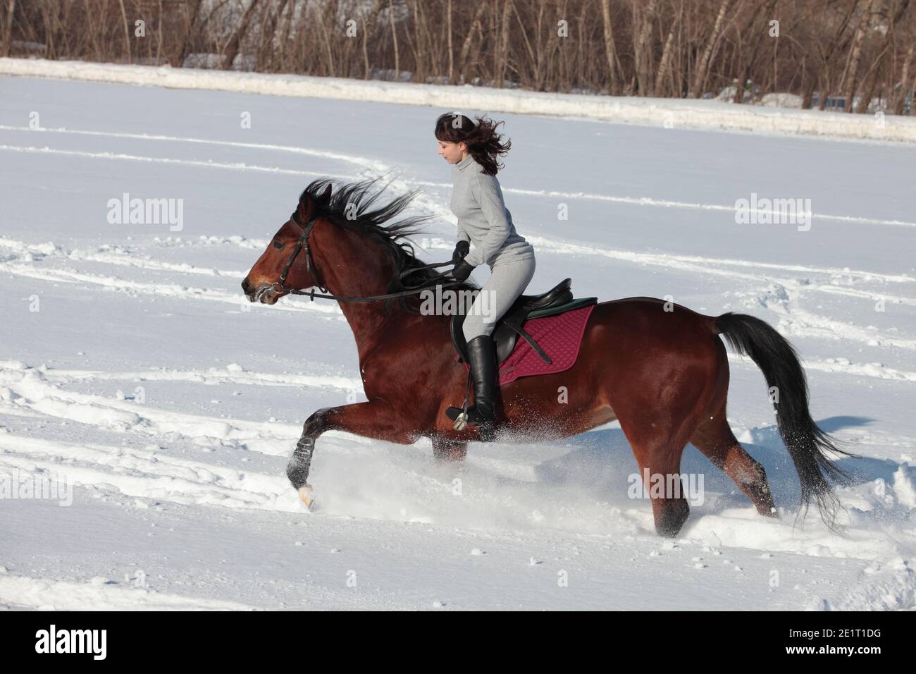 Attractive woman riding horse bareback hi-res stock photography and ...