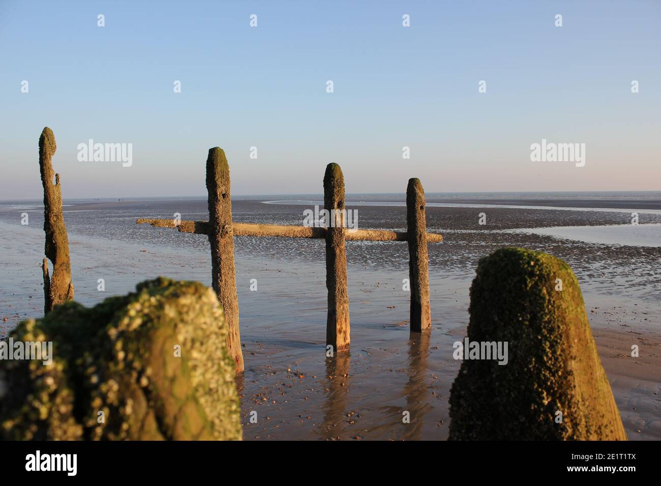 Winchelsea beach landscape view low tide exposing flat sand with wooden ...
