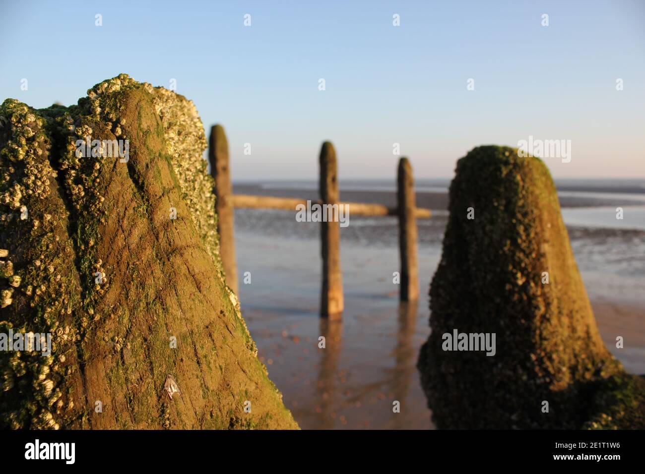 Winchelsea beach landscape view low tide exposing flat sand with wooden ...