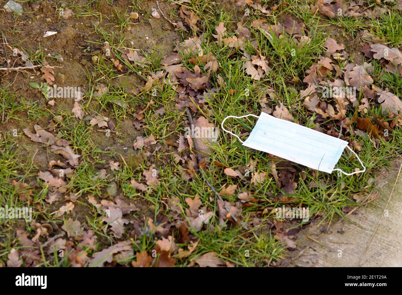 Pollution of used protective face mask between the foliage on the ...