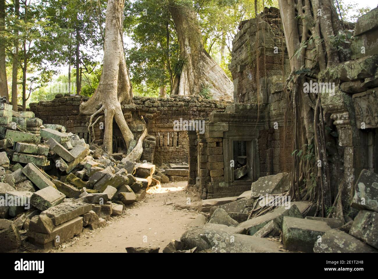Ta Prohm is one the most popular temples in Angkor, often called "The ...