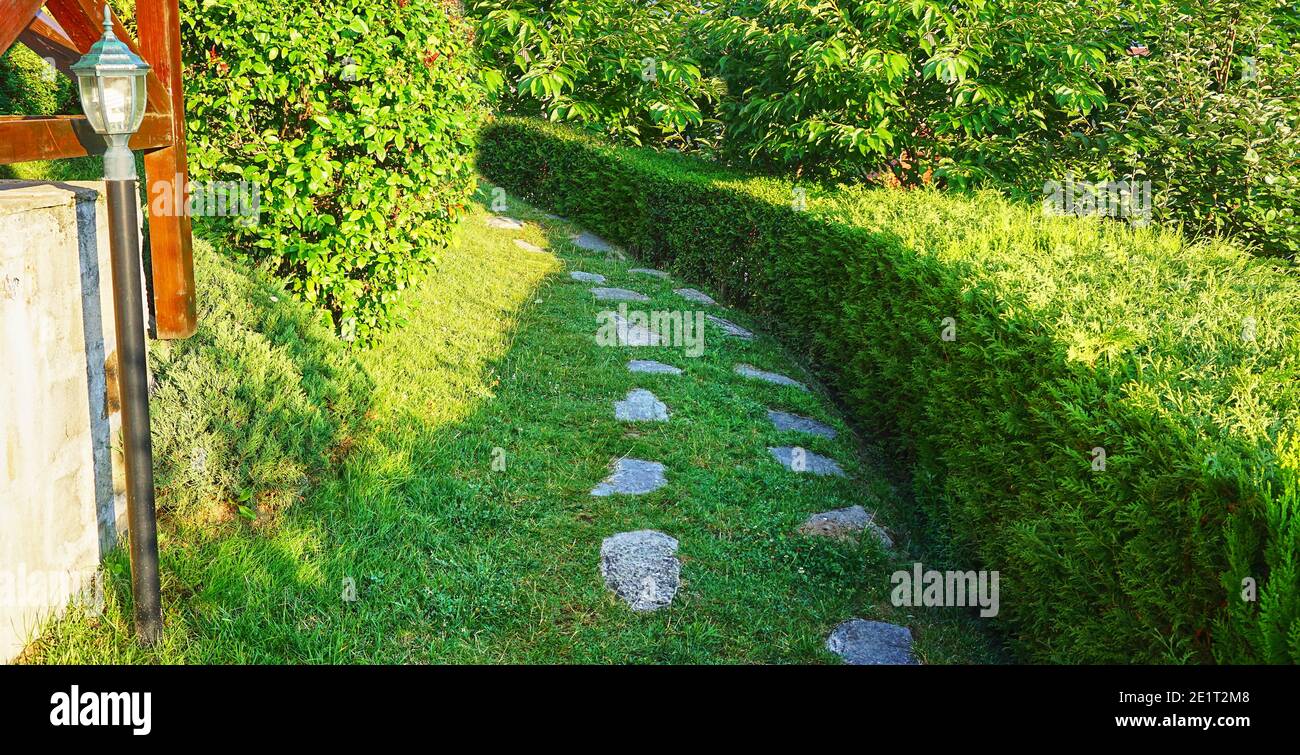 Beautiful green garden with morning sunlight Stock Photo - Alamy