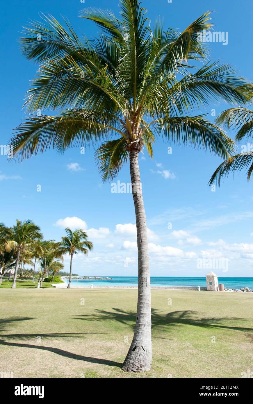 Lucaya beach bahamas hi-res stock photography and images - Alamy