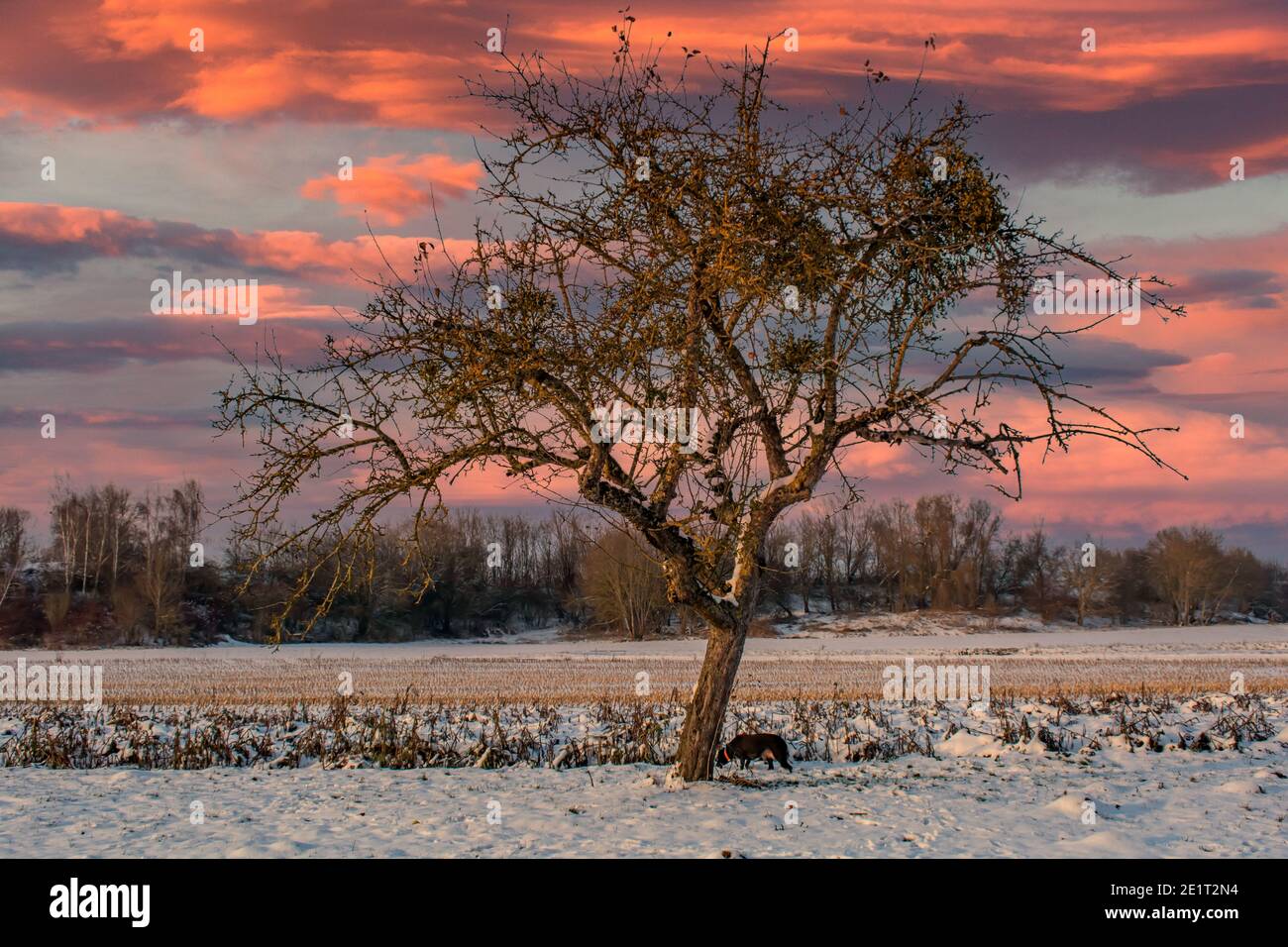 Lonely scenery hi-res stock photography and images - Alamy