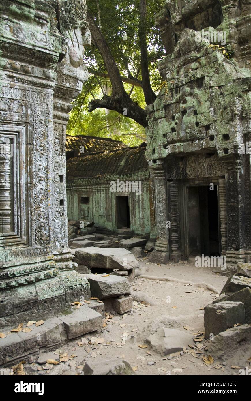 Ta Prohm is one the most popular temples in Angkor, often called "The ...
