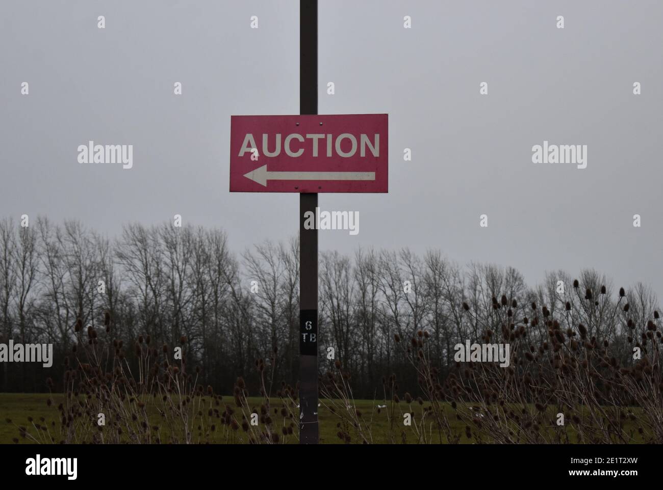 Live Auction Sign