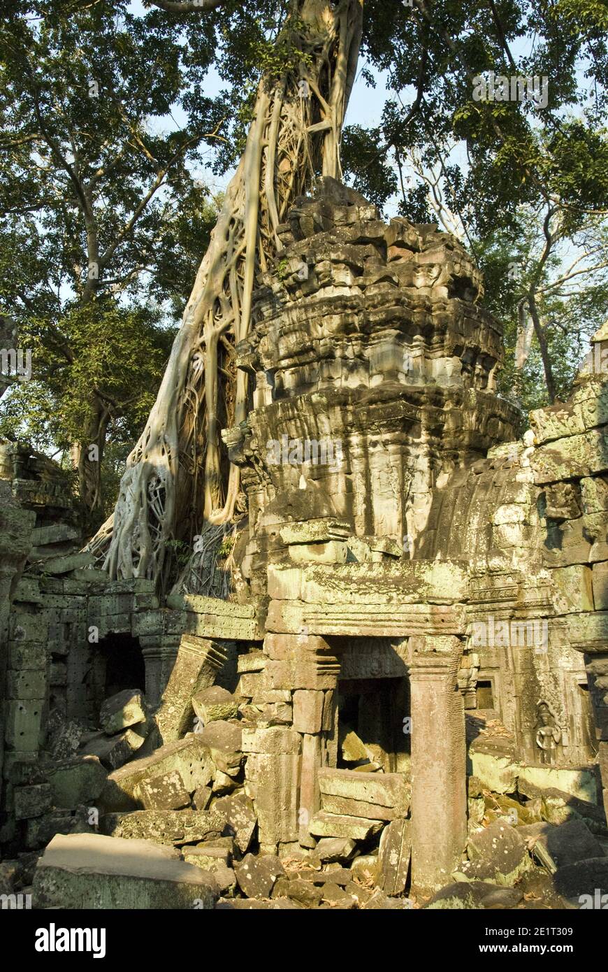 Ta Prohm is one the most popular temples in Angkor, often called "The ...