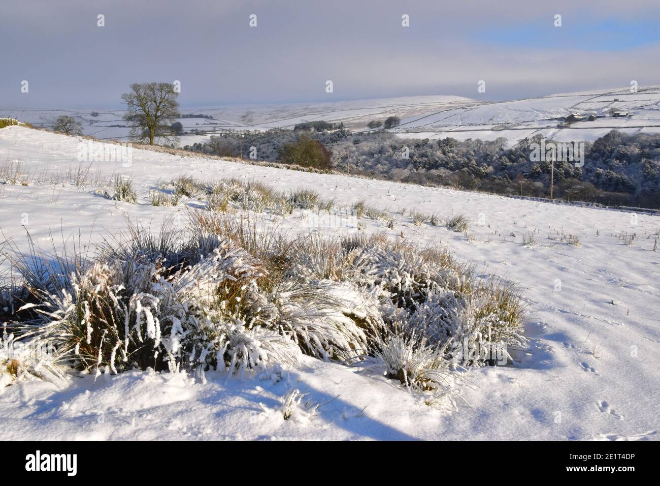 Winter Wonderland, Heptonstall Moor in snow, above Hardcastle Crags and ...